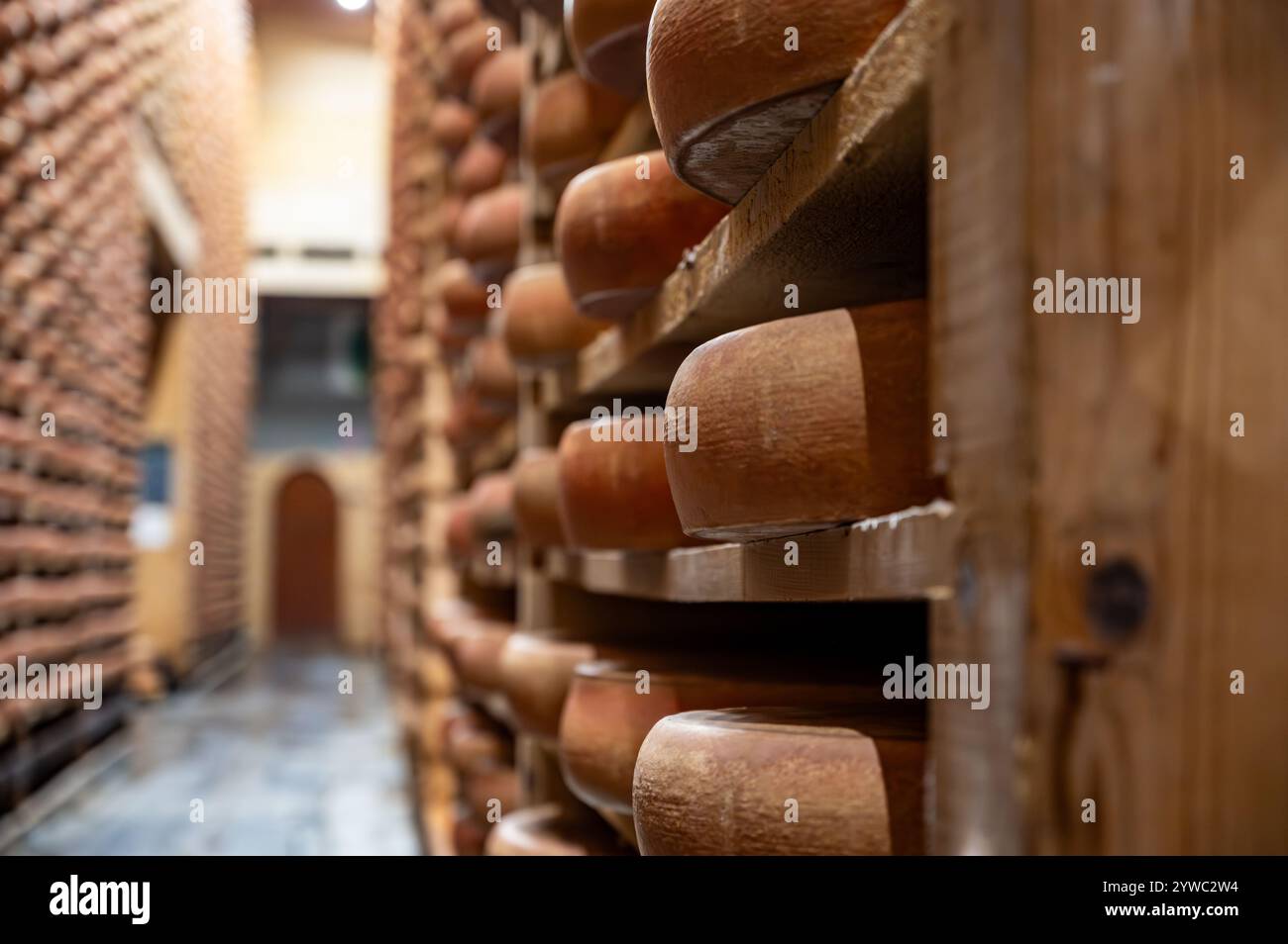 Aging rooms with many shelves in cheese caves, central location for ...