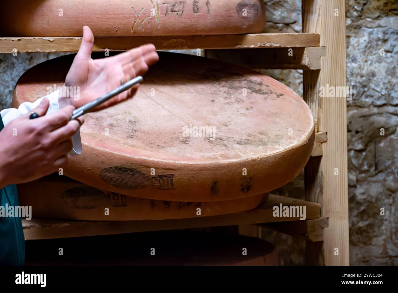 Cheese check in aging rooms with many shelves in caves, central ...