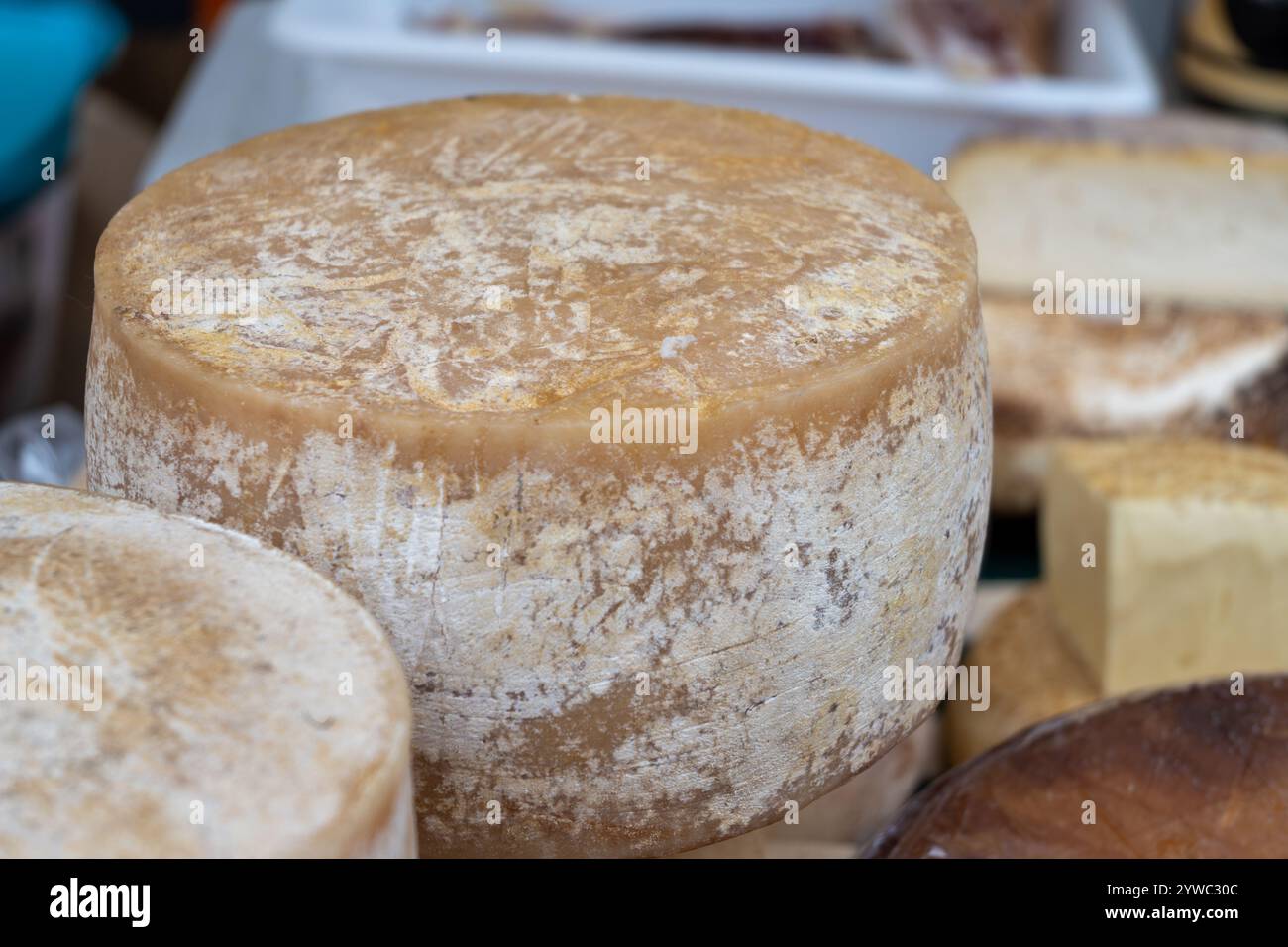 Farmer shop in Biarritz, France, Basque Country and Pyrenees sheep, cow ...