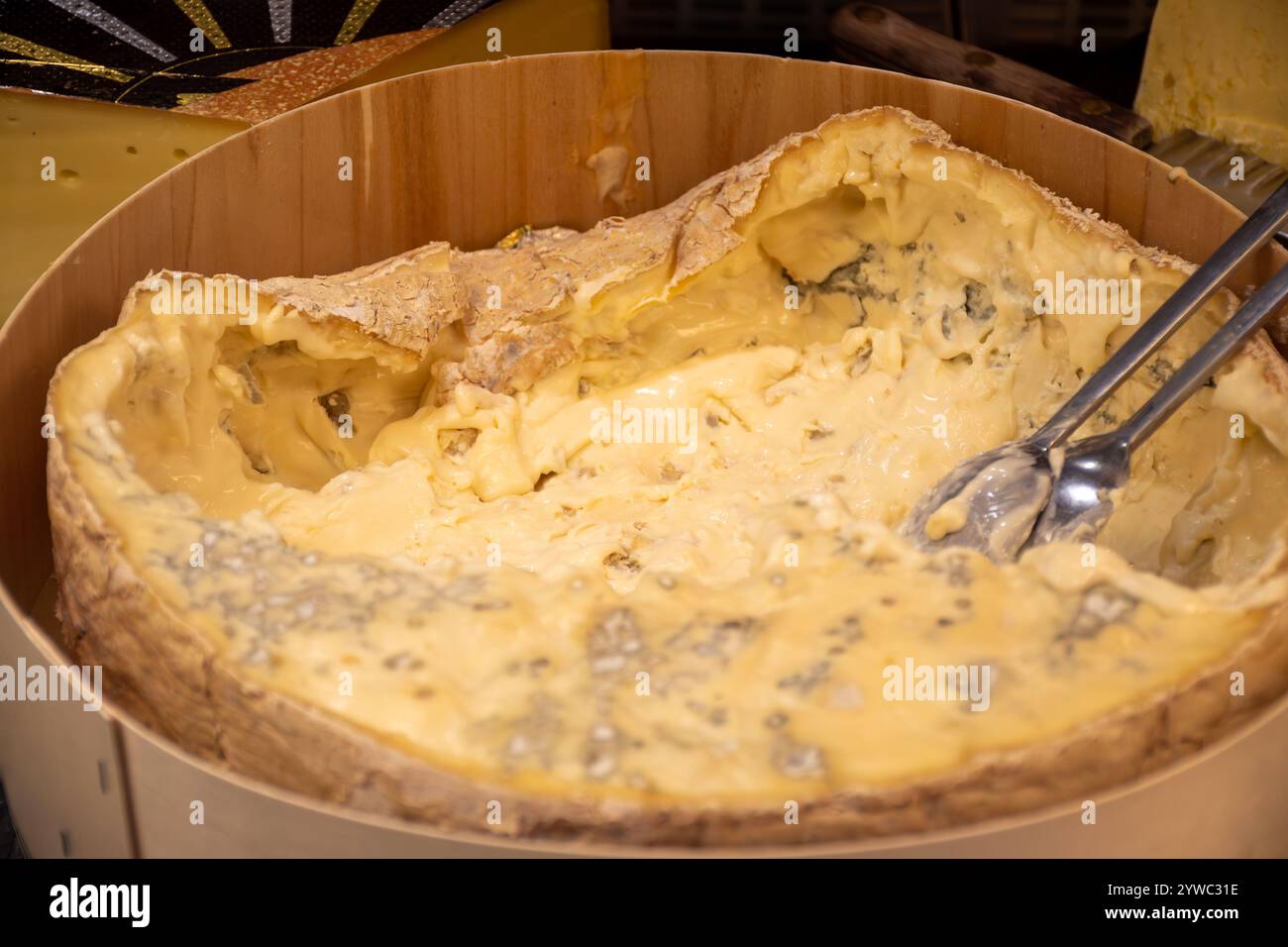 Italian food, buttery and soft blue cheese made from cow milk in ...