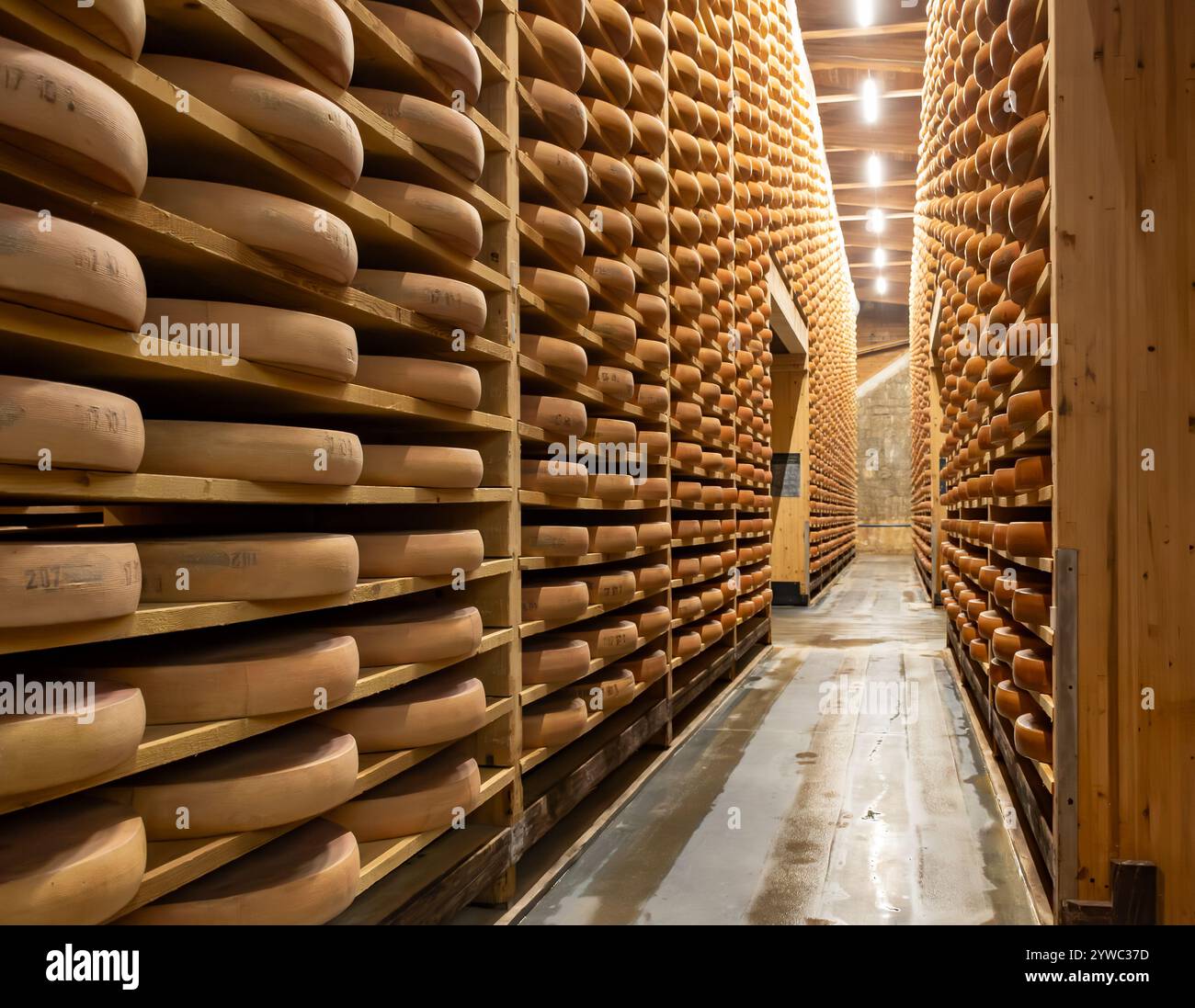 Aging rooms with many shelves in cheese caves, central location for ...