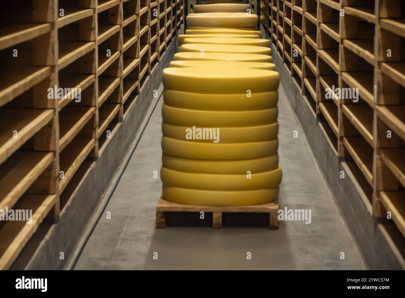 Aging rooms with many shelves in cheese caves, central location for ...