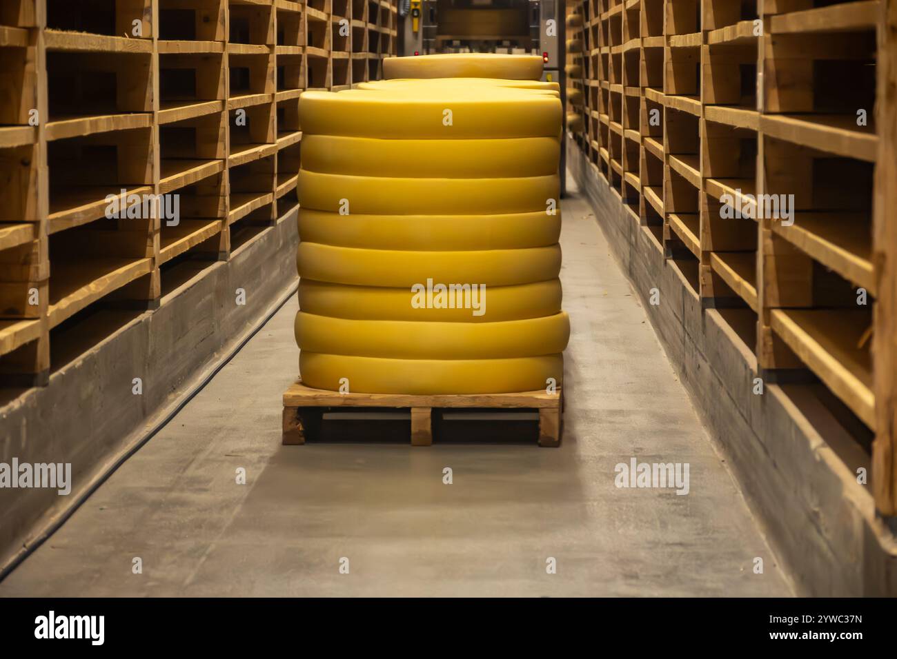 Aging rooms with many shelves in cheese caves, central location for ...
