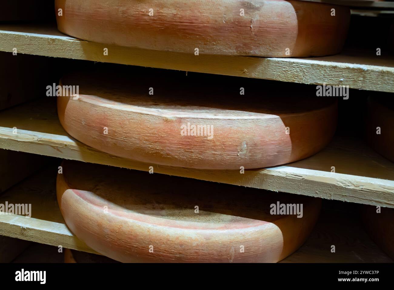 Aging rooms with many shelves in cheese caves, central location for ...