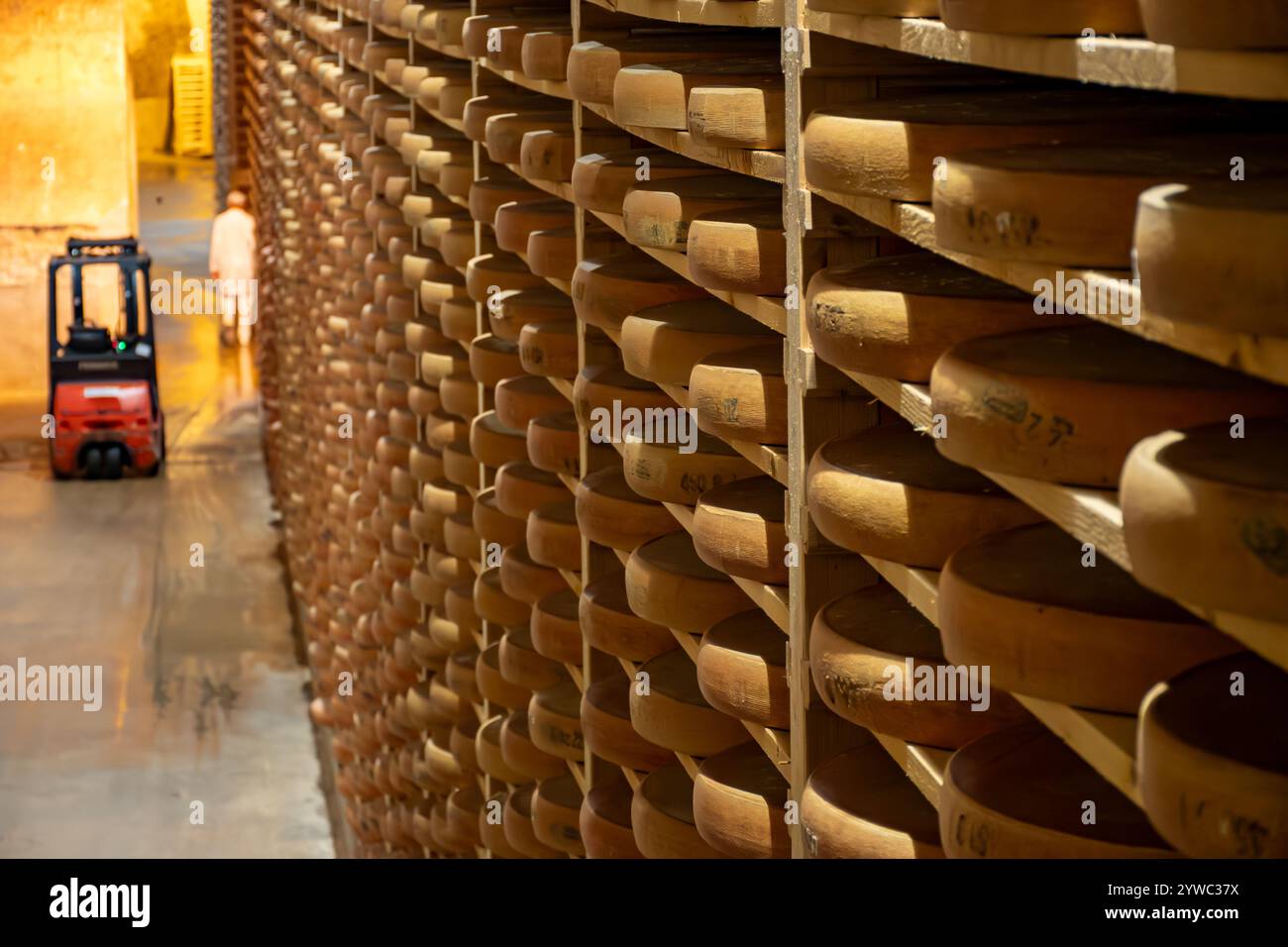 Aging rooms with many shelves in cheese caves, central location for ...