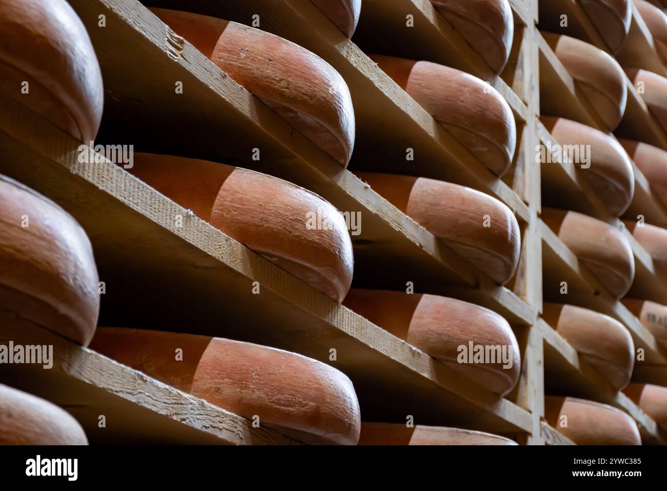 Aging rooms with many shelves in cheese caves, central location for ...