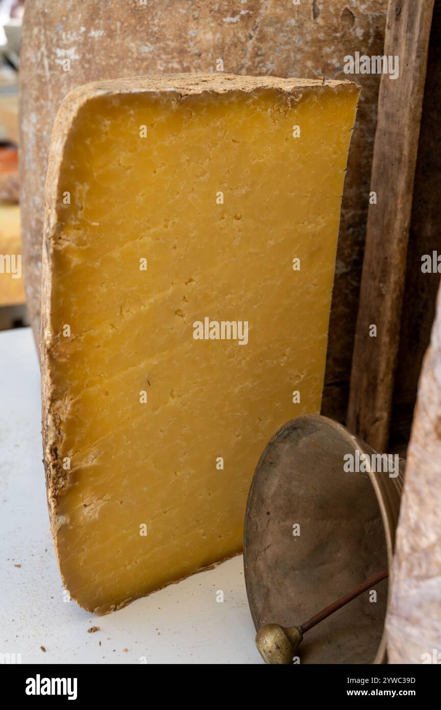 Cheese collection, hard French cheese old cantal AOP fermier made from ...