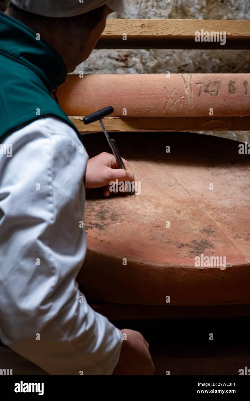 Cheese check in aging rooms with many shelves in caves, central ...