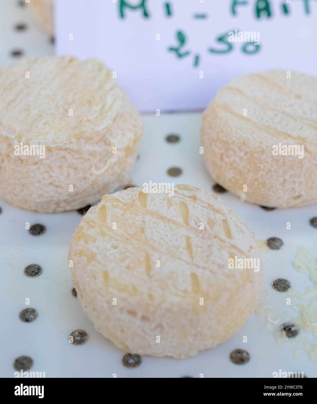 French goat chevre cheeses fresh and crottin chavignol, made from ...