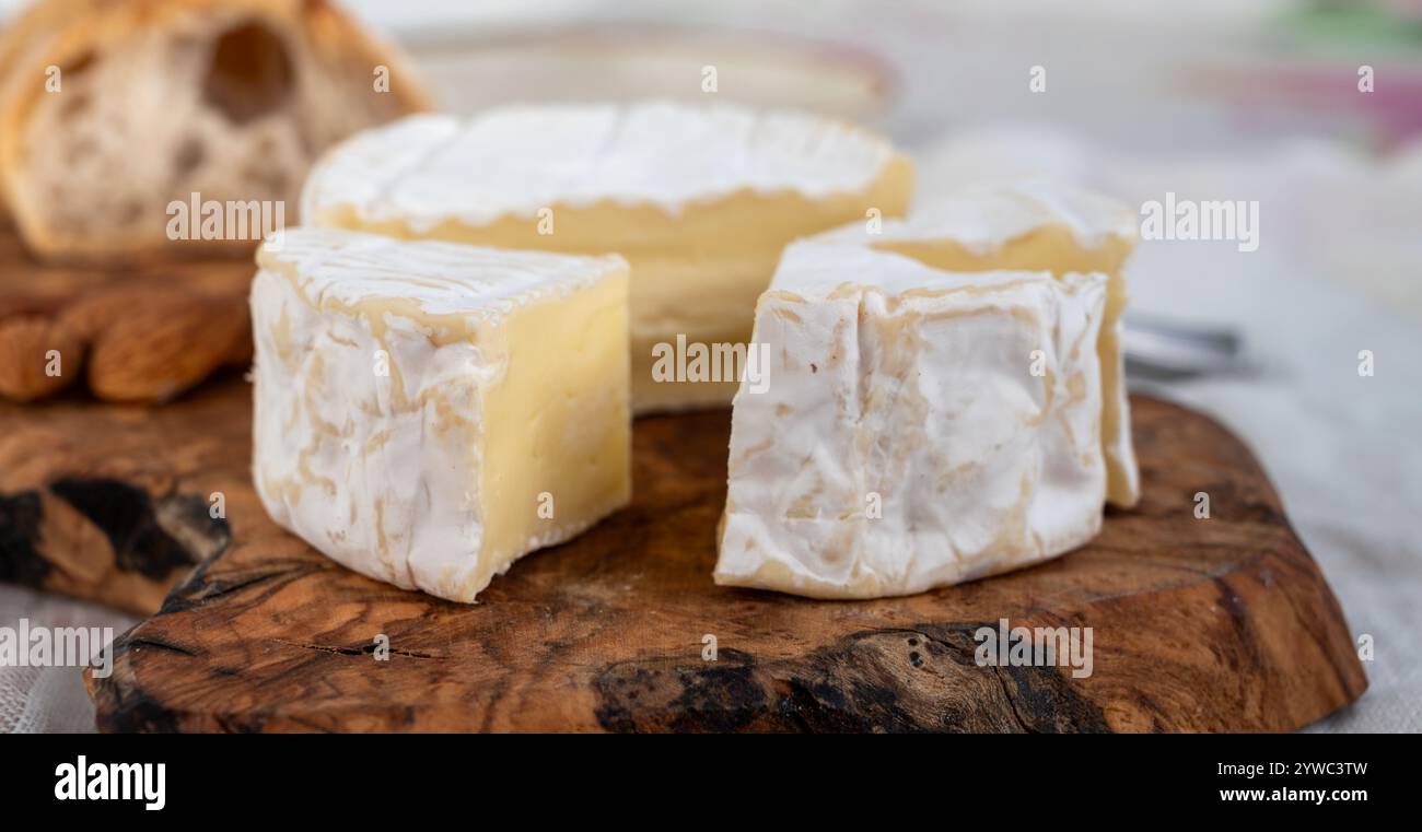 French soft Camembert cheese, original Camembert de Normandie made from ...