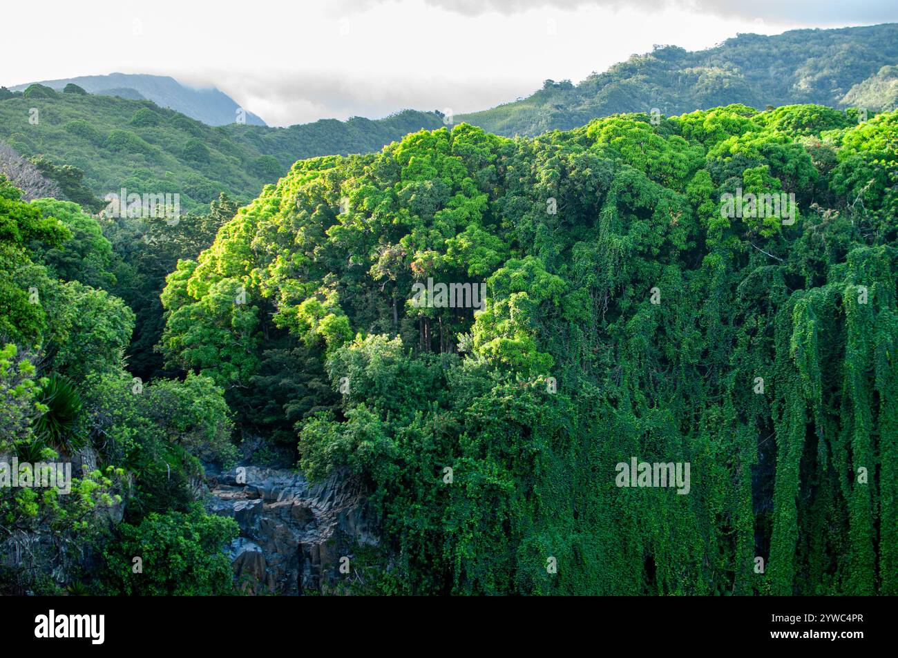 Landscape view haleakala national hi-res stock photography and images ...