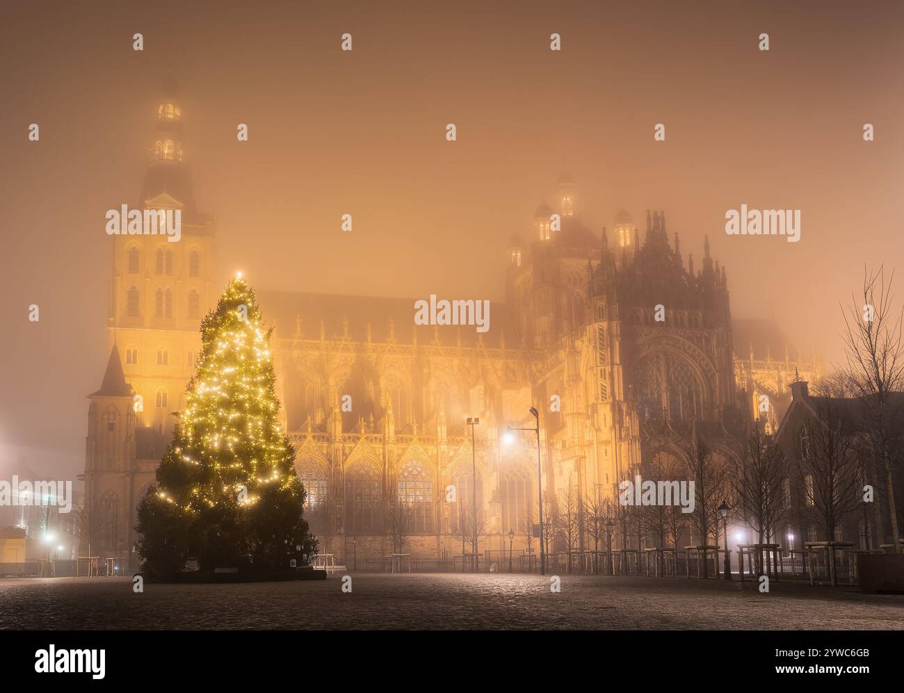 Illuminated New Year Christmas Tree and Cathedral in Den Bosch ...