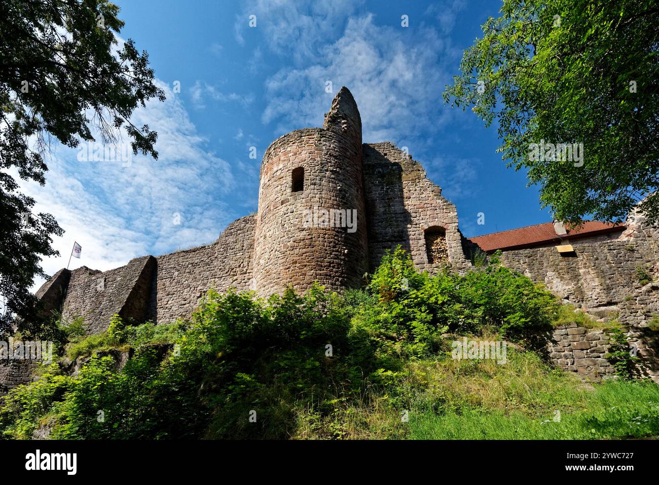 Zřícenina hradu Pecka / Pecka Castle Ruins Stock Photo - Alamy