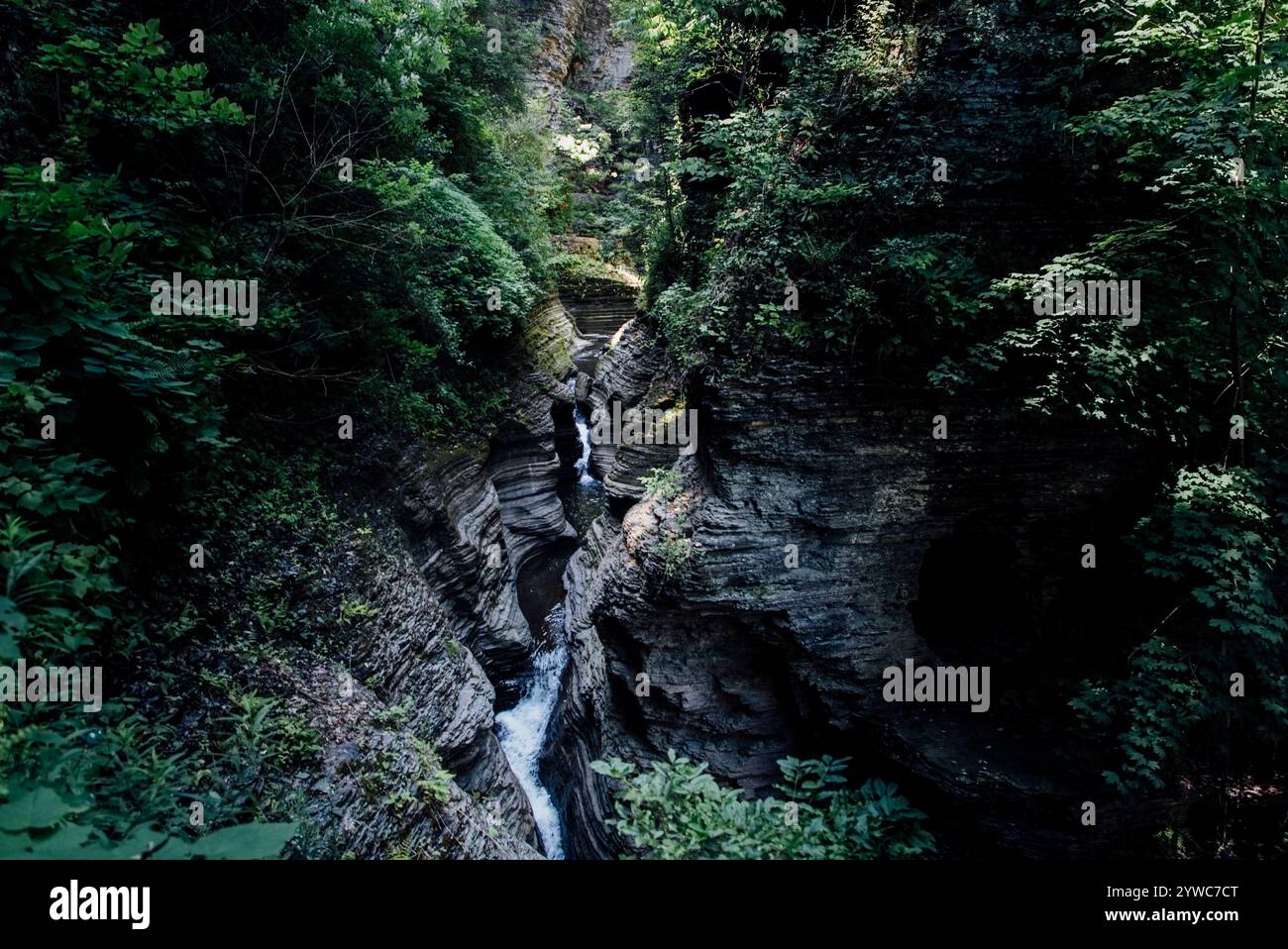New York Gorge Stock Photo - Alamy
