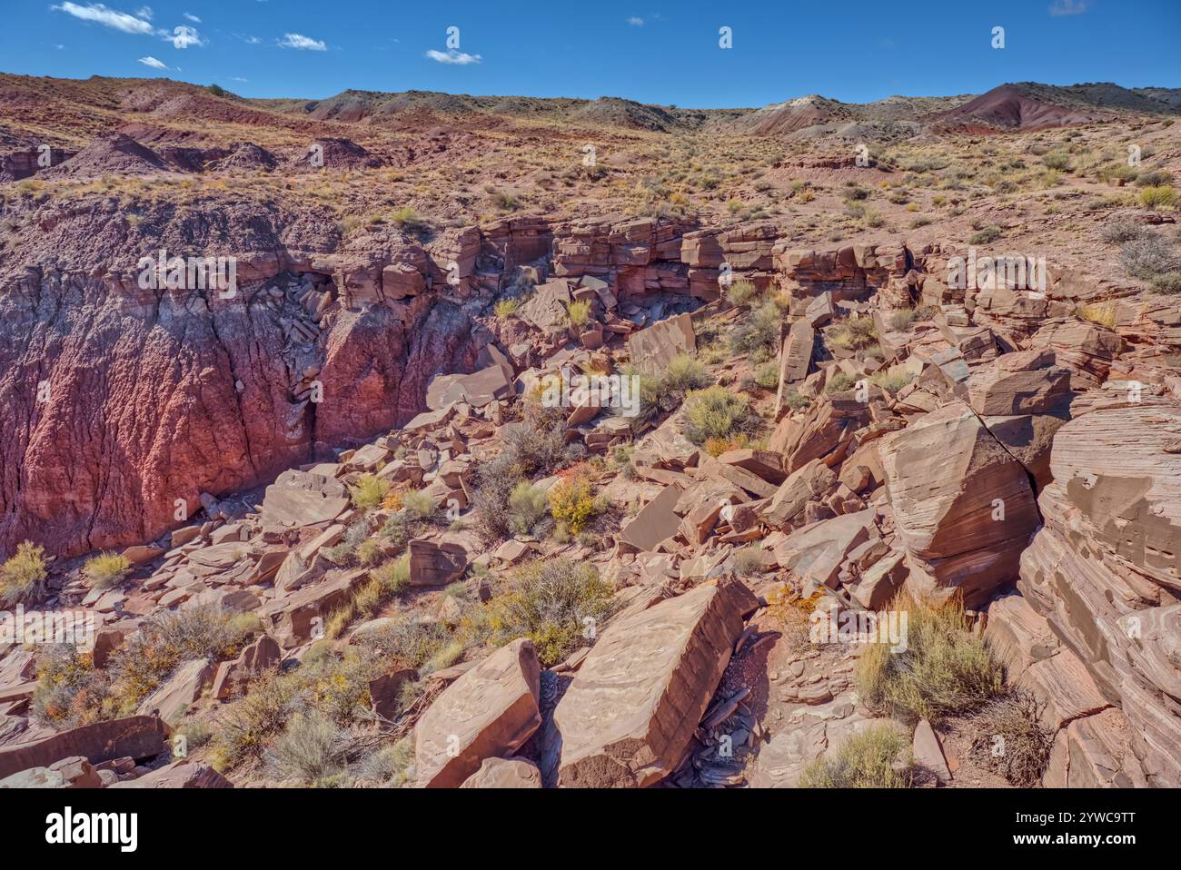 Dry waterfall and Dead Wash, Petrified Forest National Park, Arizona ...