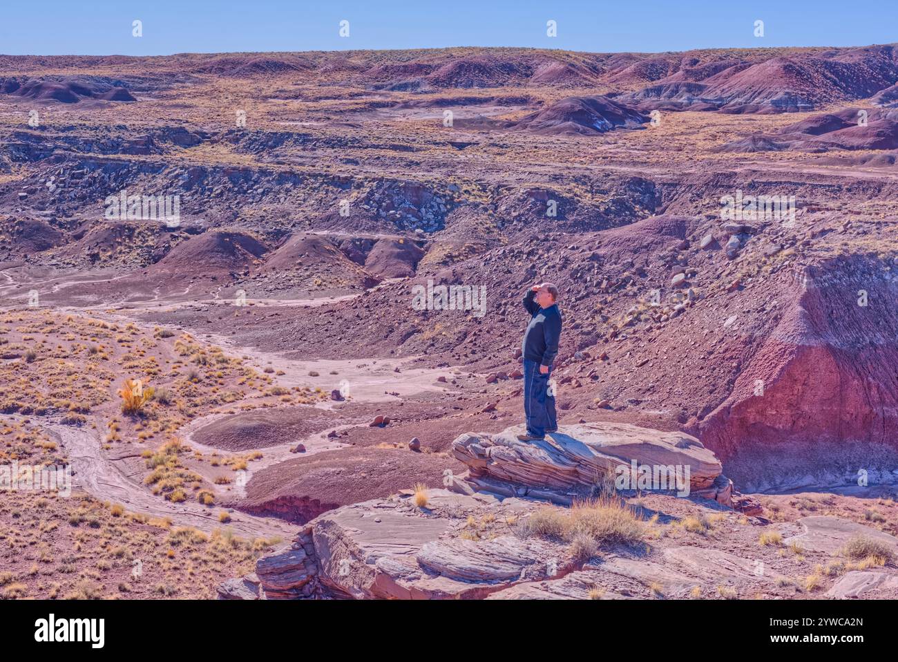 Side view of a man standing on a cliff looking at Dead Wash, Petrified ...