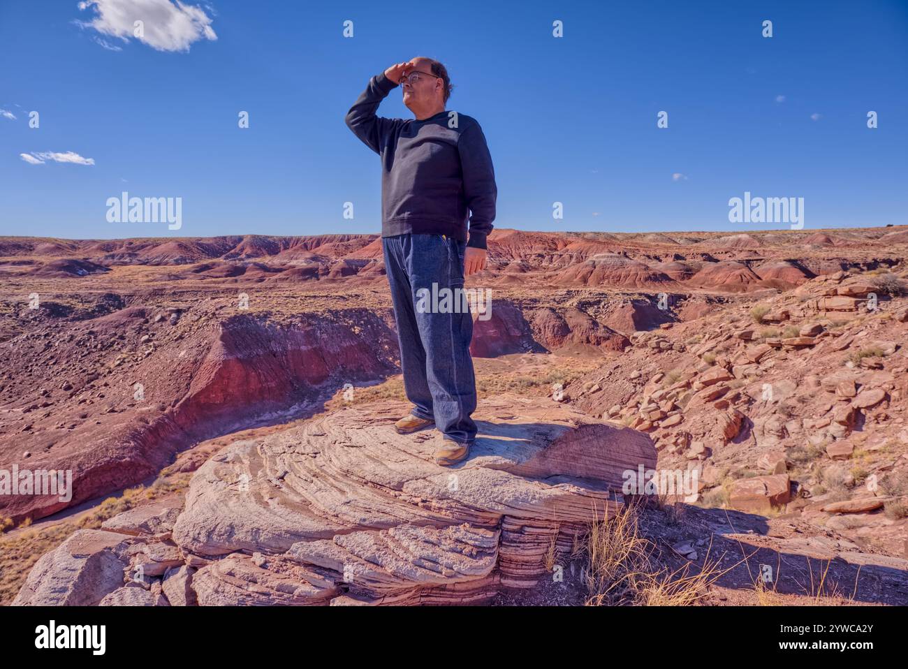 Close-up of a man standing on a cliff looking at Dead Wash, Petrified ...