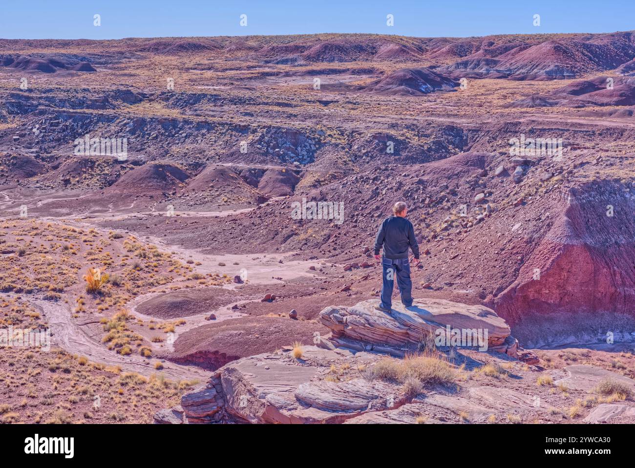 Rear view of a man standing on a cliff looking at Dead Wash, Petrified ...