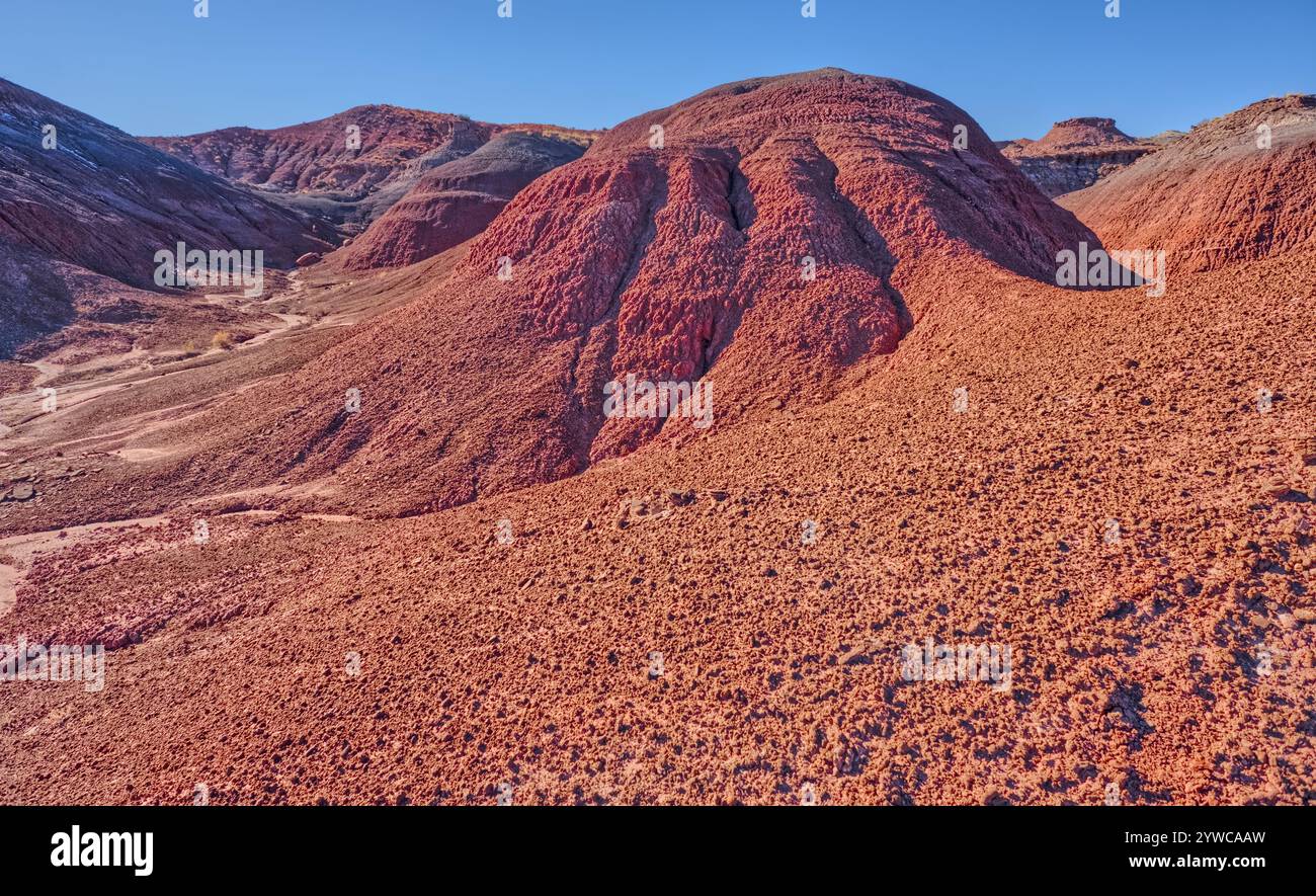 Red Bentonite Clay Hills overlooking Dead Wash, Petrified Forest ...