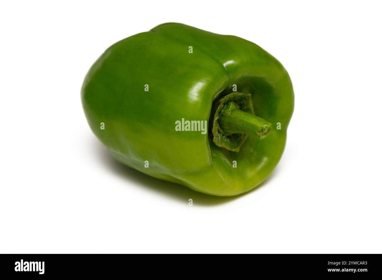 Fresh green bell pepper sits on a pristine surface, showcasing its ...
