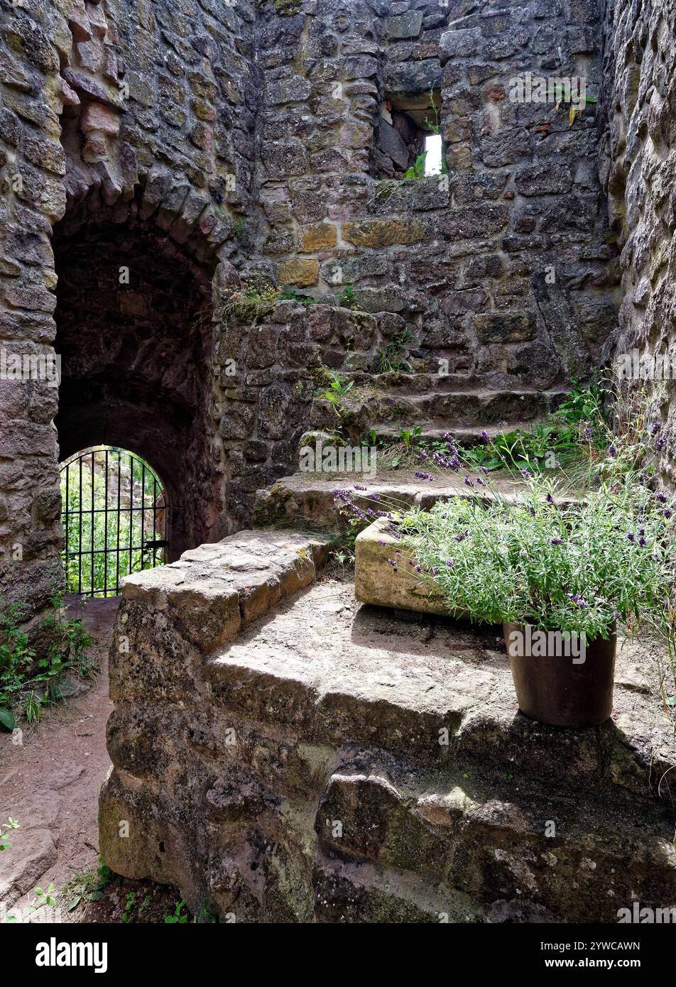 Pecka hi-res stock photography and images - Alamy