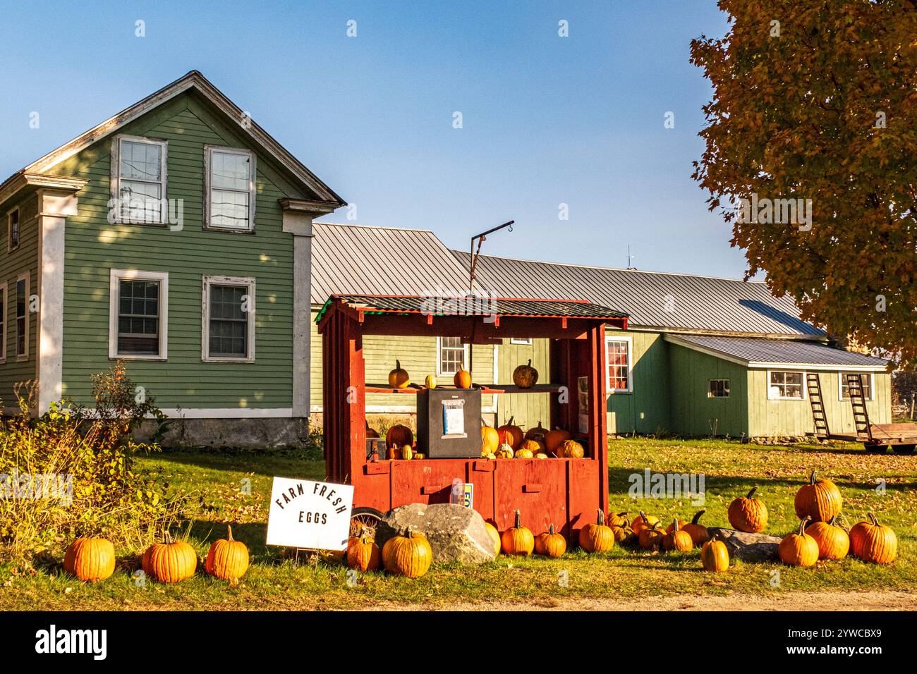 Small vegetable stand hi-res stock photography and images - Alamy