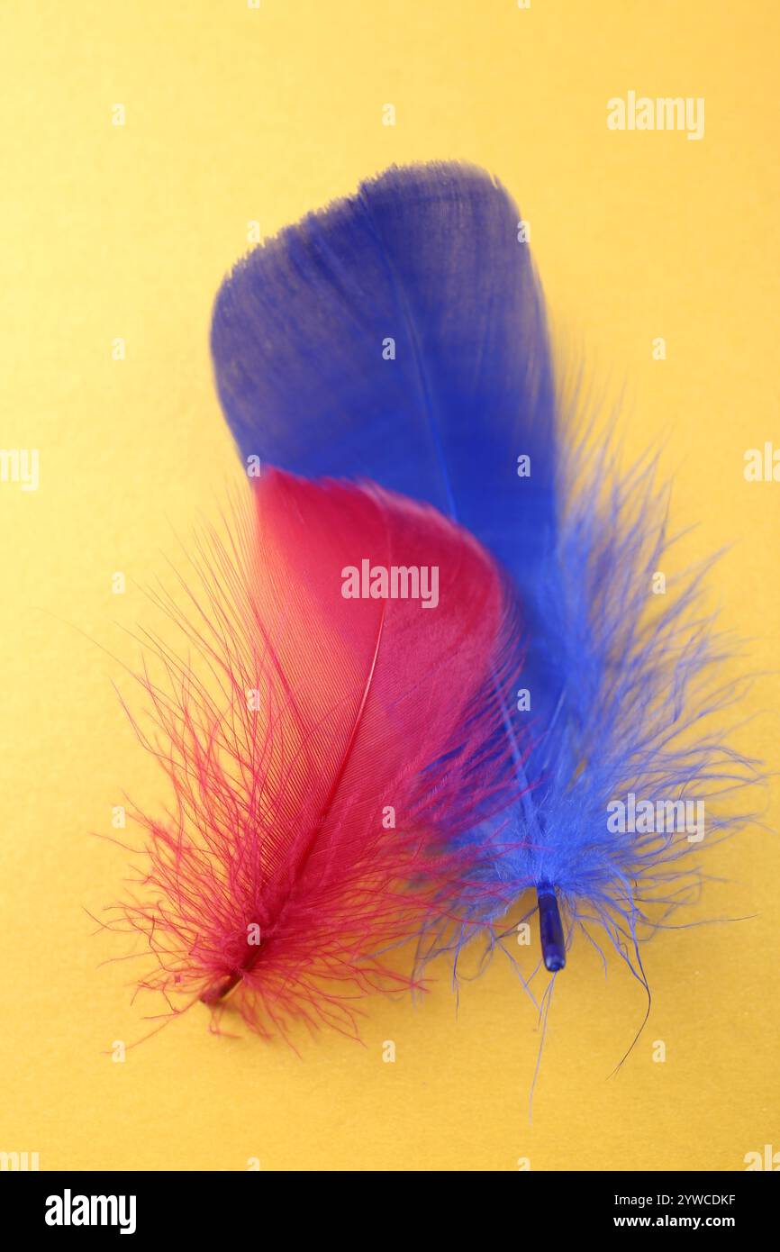 Fluffy blue red feathers hi-res stock photography and images - Alamy