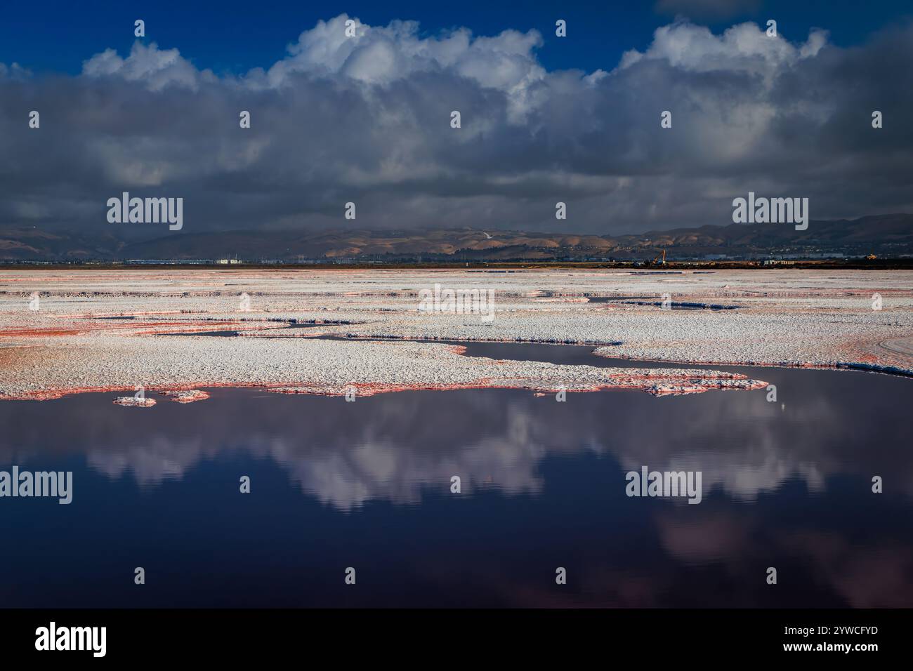 Pink salt flats at Alviso Marina County Park, San Jose, California ...