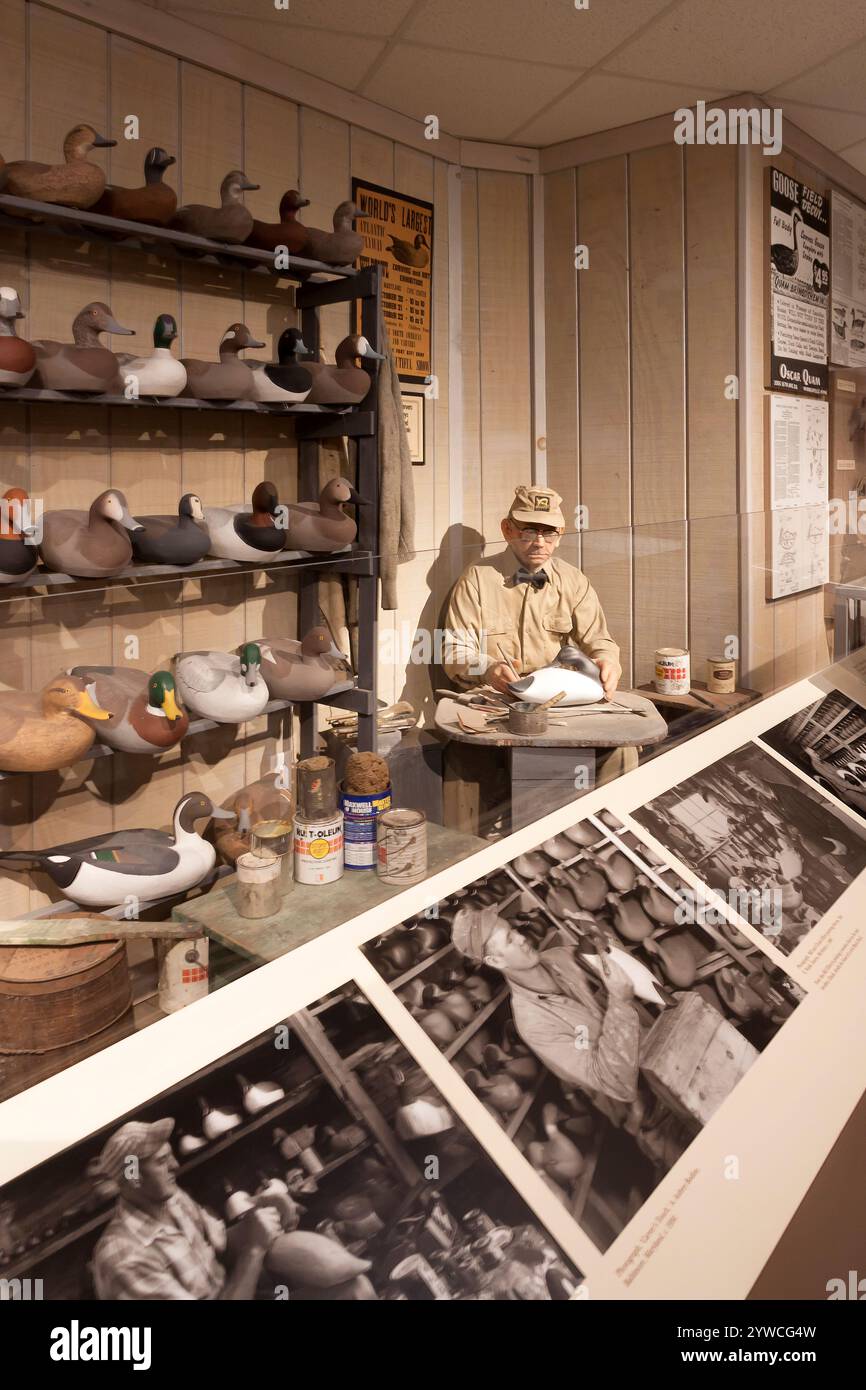 Havre de Grace Decoy Museum, Decoy Capital of the World, Displays ...