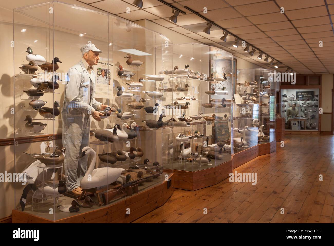 Havre de Grace Decoy Museum, Decoy Capital of the World, Displays ...