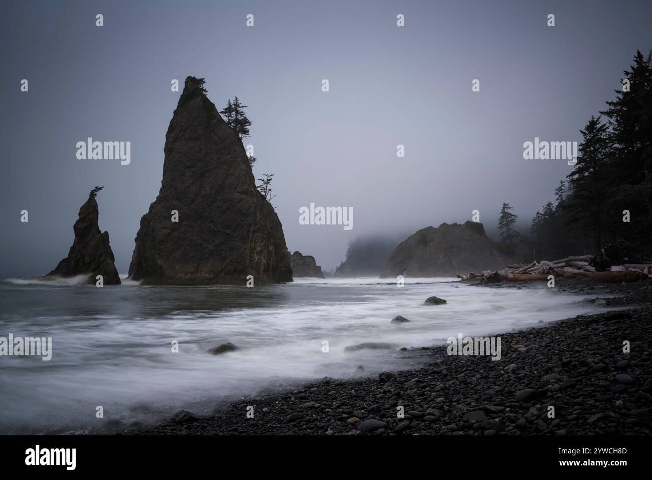 Sea stacks at Rialto Beach, Olympic National Park, Washington Stock ...