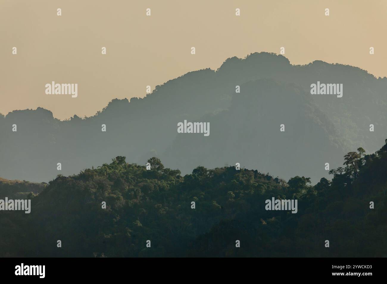 Landscape of karst mountains covered with rainforests, at sunset, seen ...
