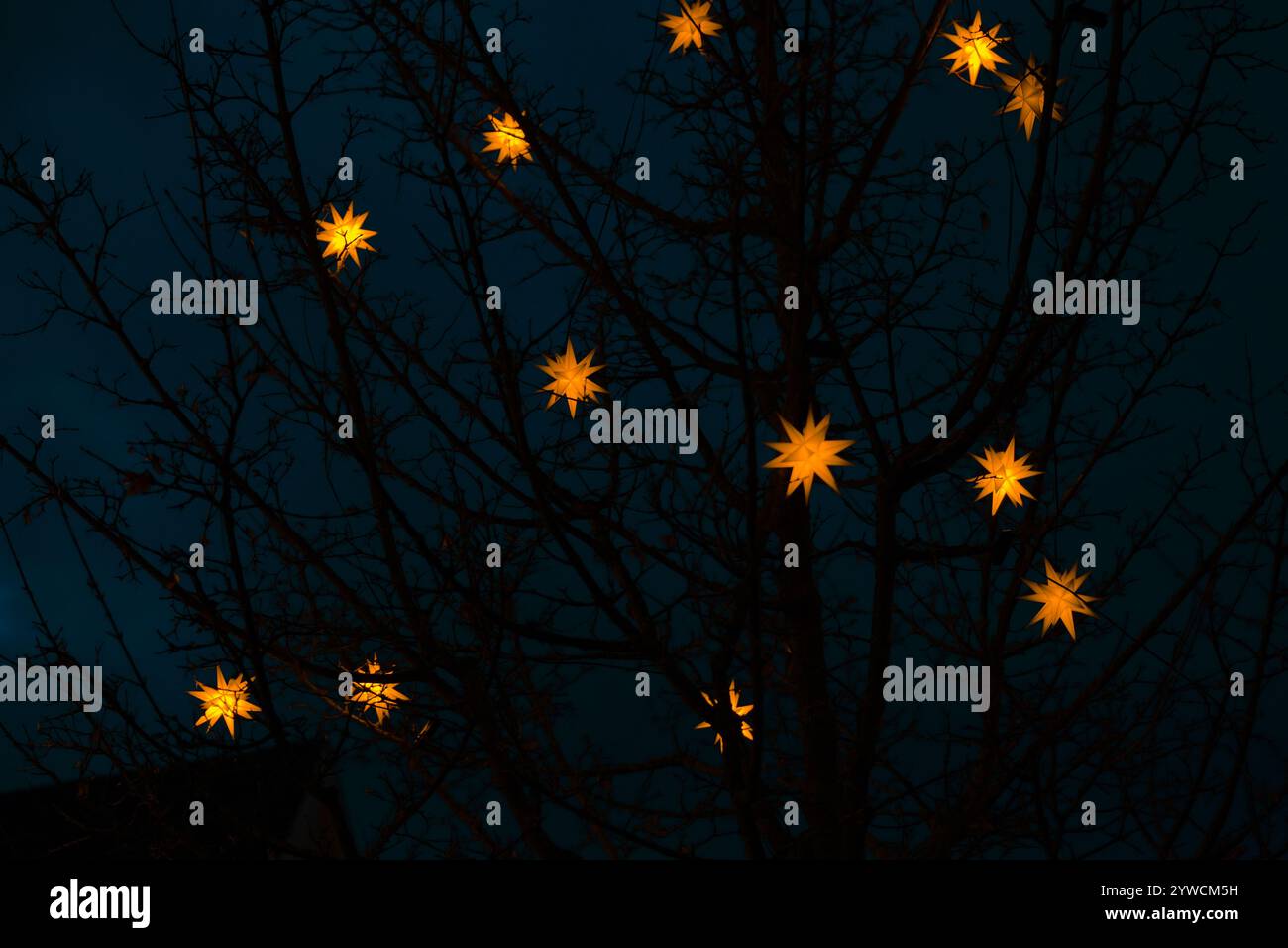 Christmas Lantern.Star Lantern Hanging on Tree at Night.Star-Shaped Lights on Tree at Night ...