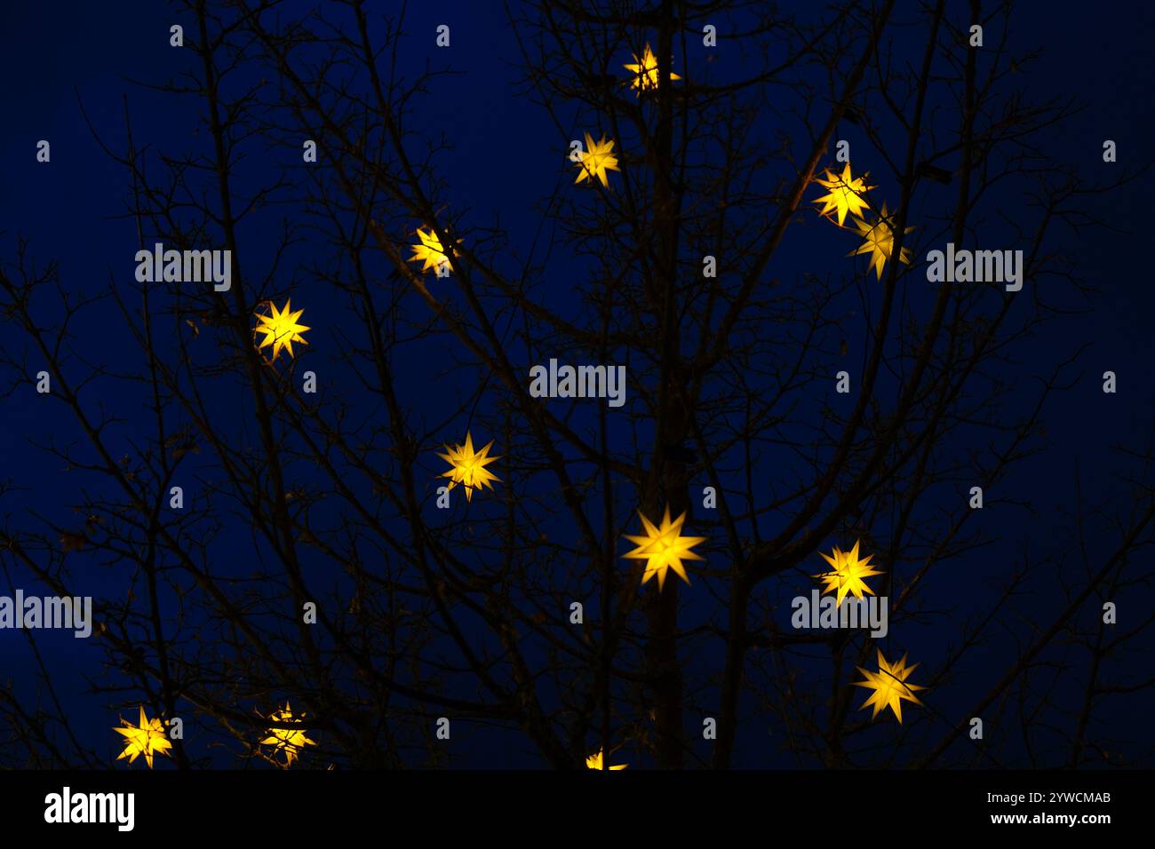 Christmas Lantern Hanging on Tree at Night.Winter Holiday Scene.Beautiful Background with ...