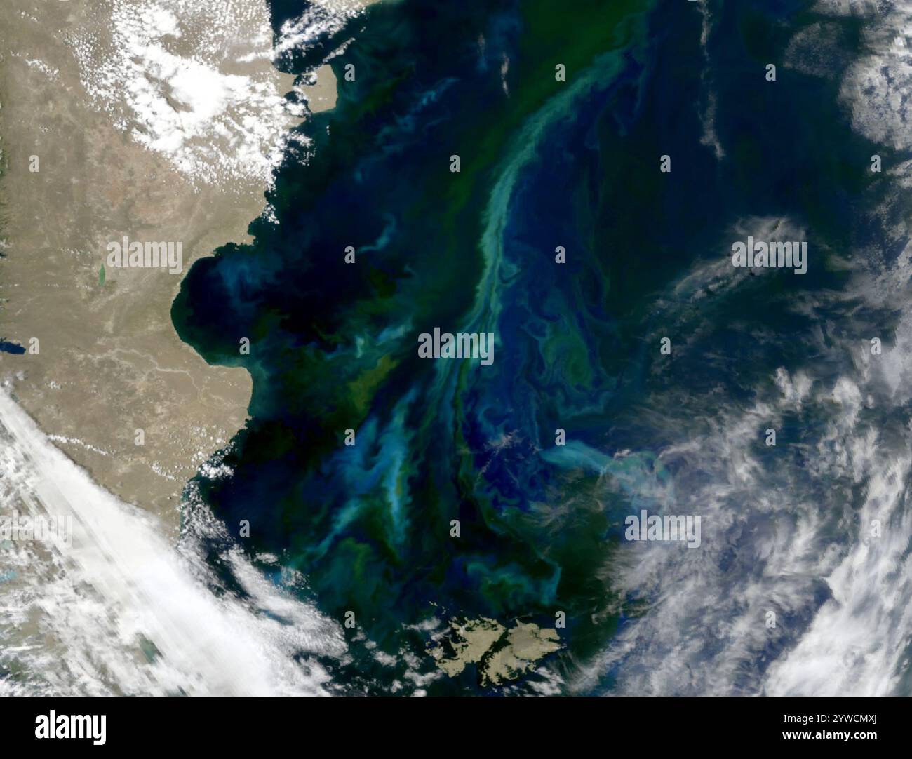 Florida, Argentina. 30th Nov, 2024. In austral spring 2024, a ...