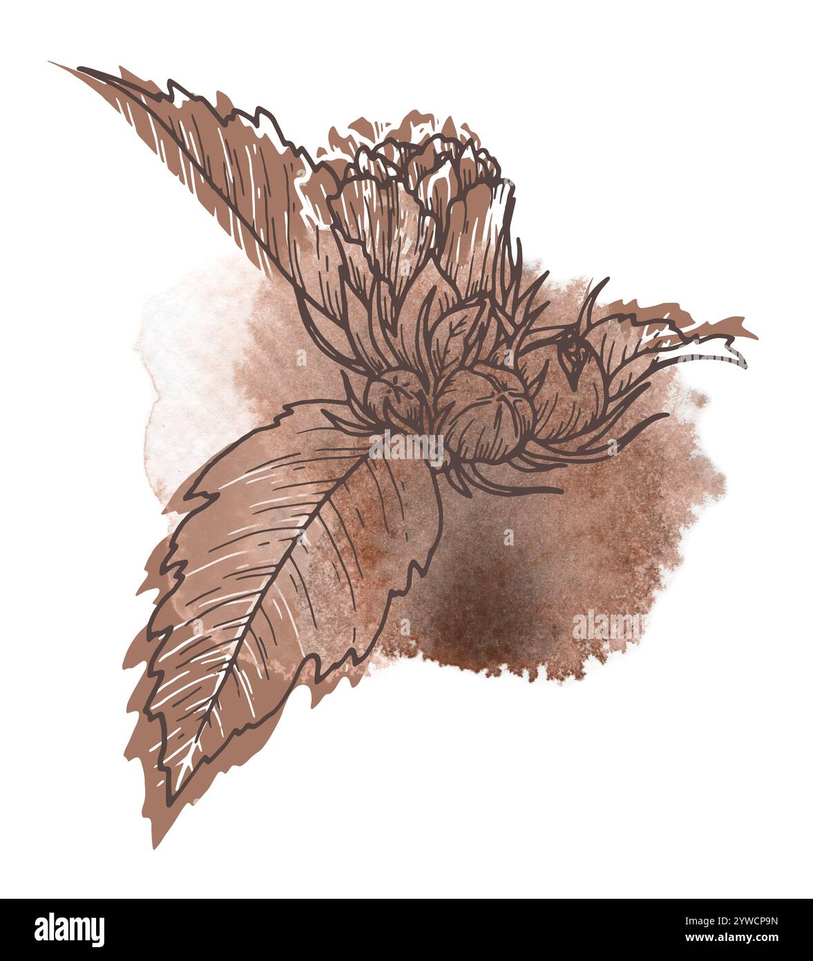 Floral arrangement in the 2025 color of the year Mocha Mousse. Hand ...