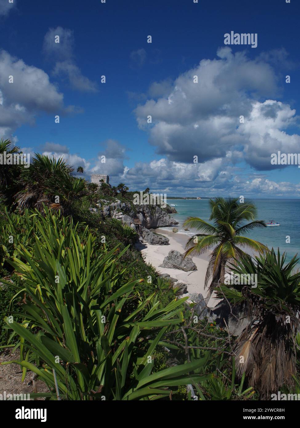 Vertical of the coastline in the zona archeologica, Tulum, Quintana Roo ...