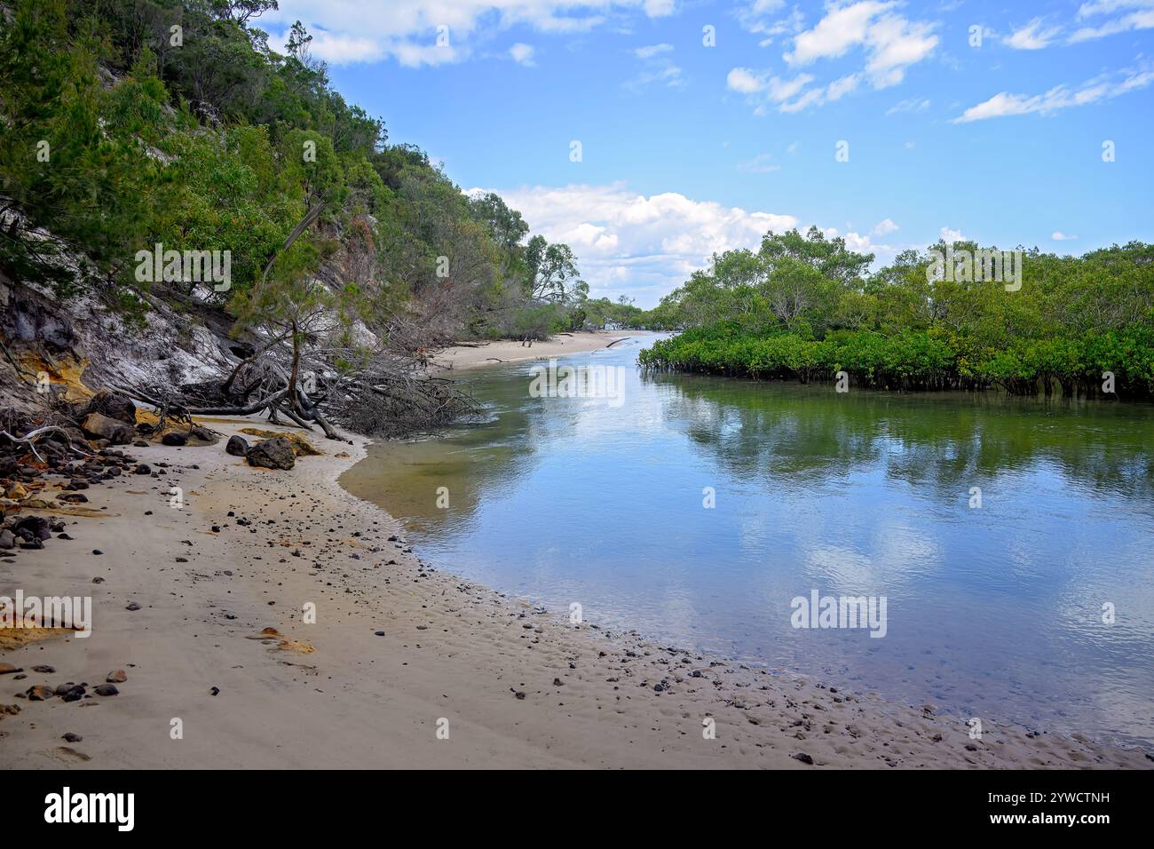 Dundonga Creek, K'gari, Fraser Island, Queensland Australia, mangrove ...