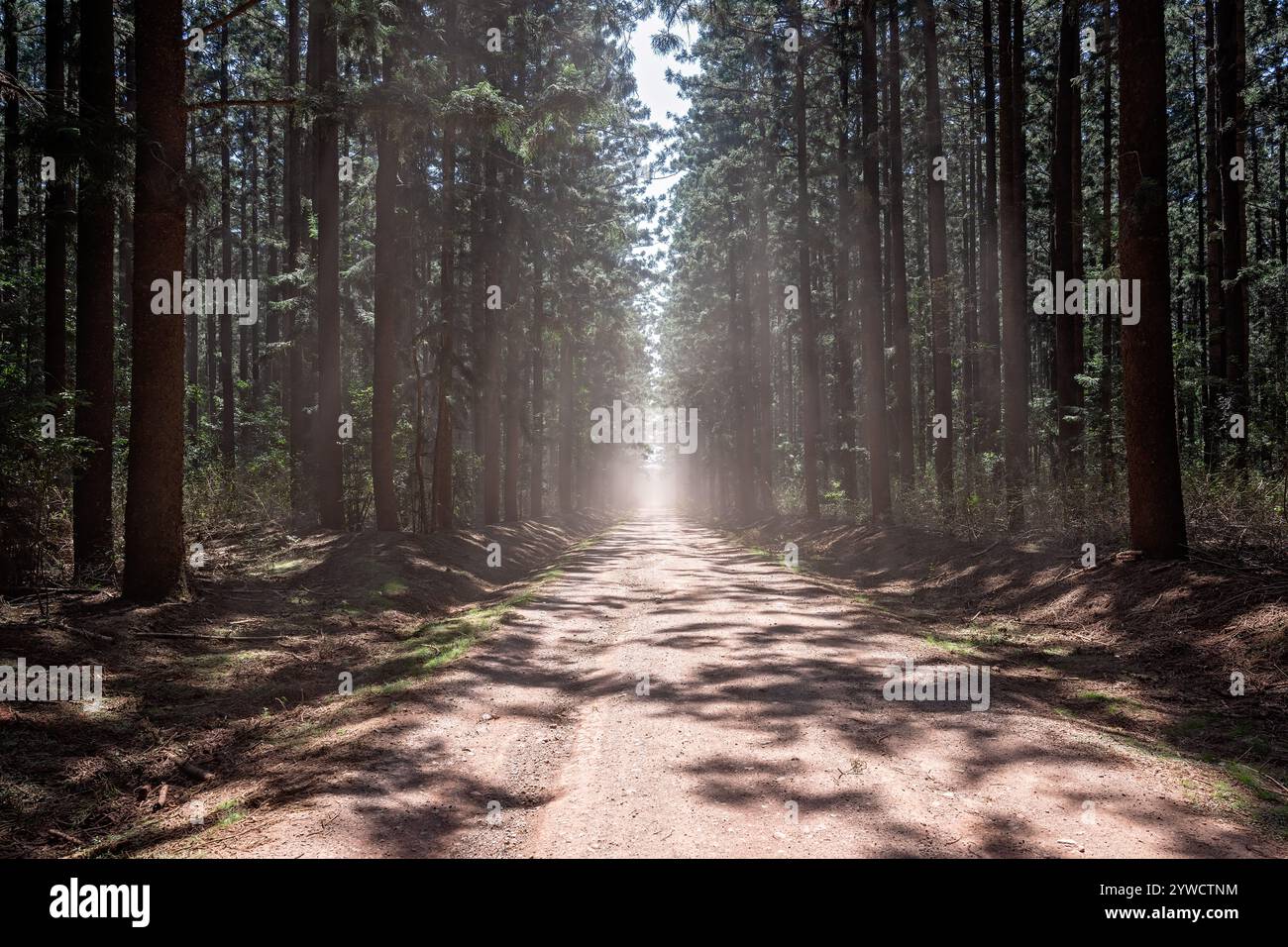 Dusty environment hi-res stock photography and images - Alamy