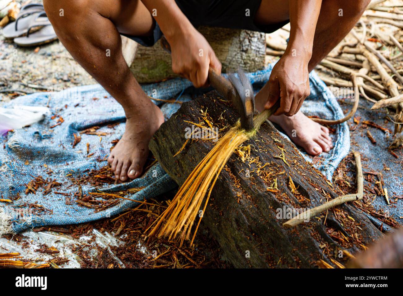 Making Ayahuasca in the Peruvian Amazon Stock Photo - Alamy