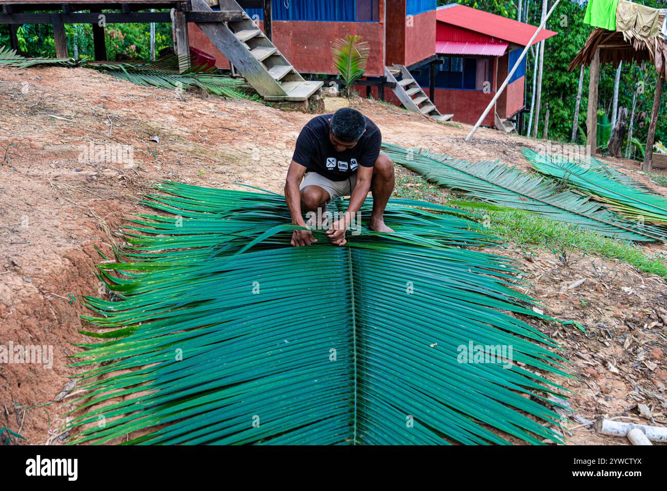 Jungle ceiling hi-res stock photography and images - Alamy