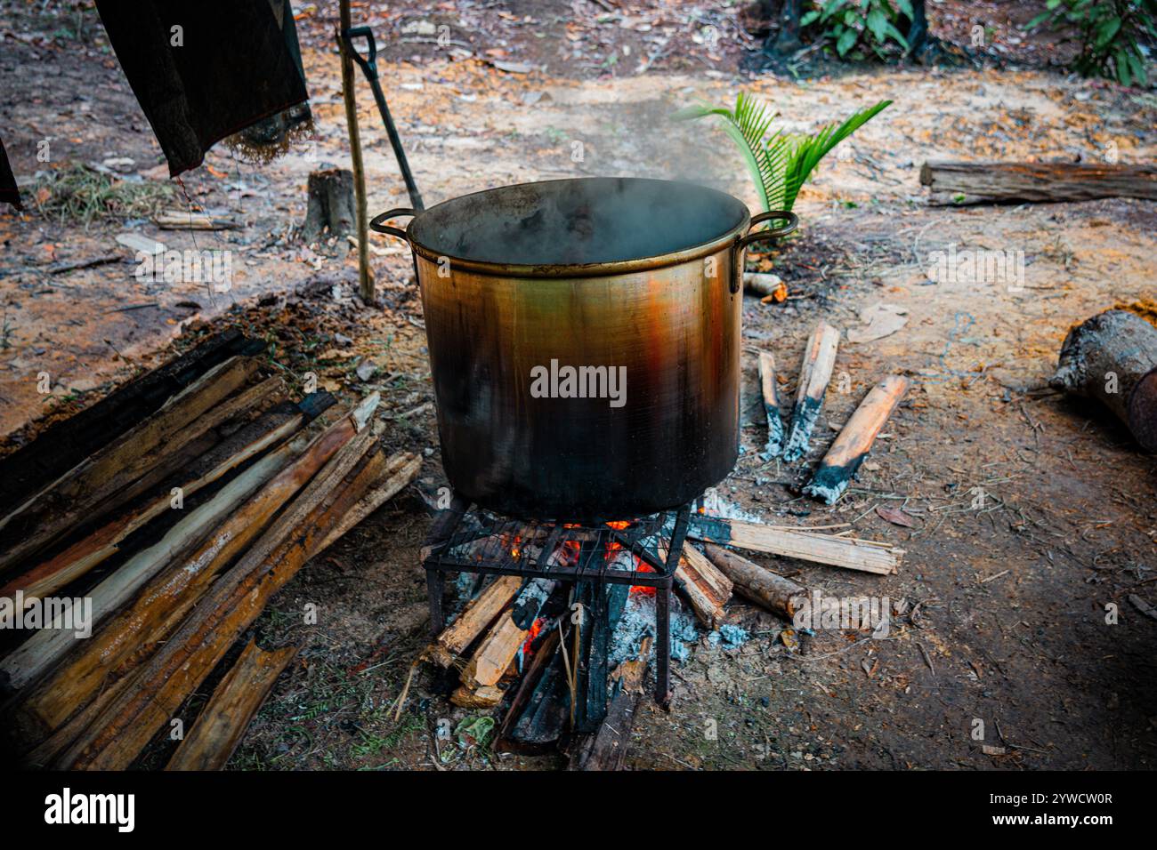 Making Ayahuasca in the Peruvian Amazon Stock Photo - Alamy