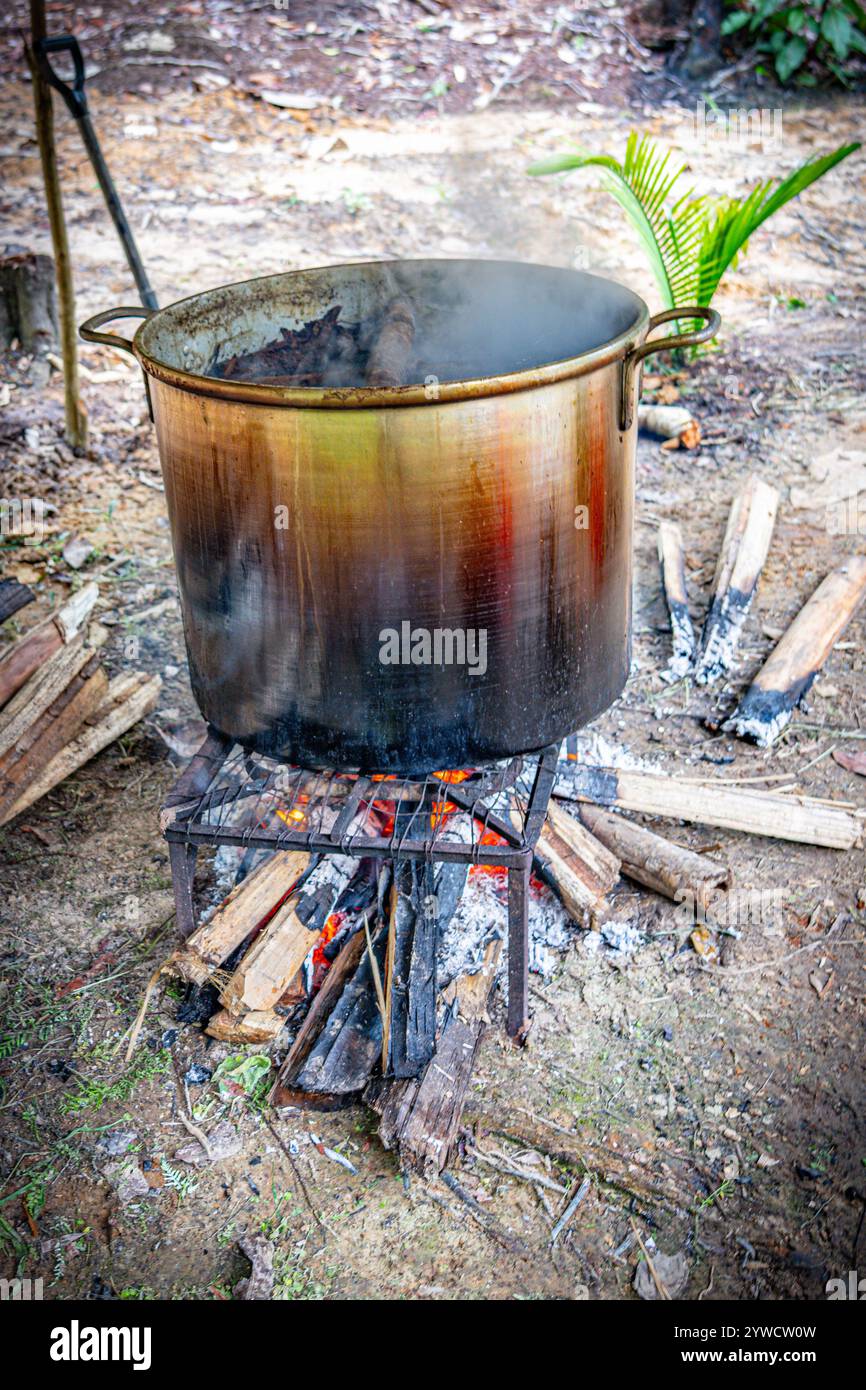 Making Ayahuasca in the Peruvian Amazon Stock Photo - Alamy