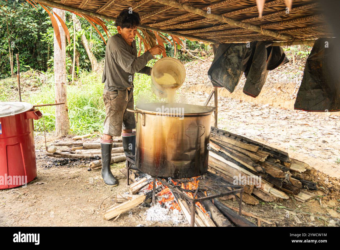 Shaman Making Ayahuasca in the Peruvian Amazon Stock Photo - Alamy
