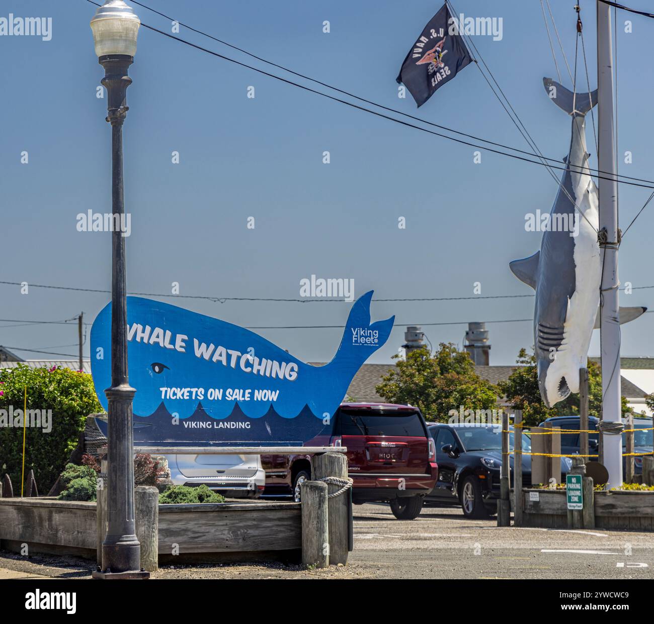large whale shaped sign for whale watching in montauk Stock Photo - Alamy