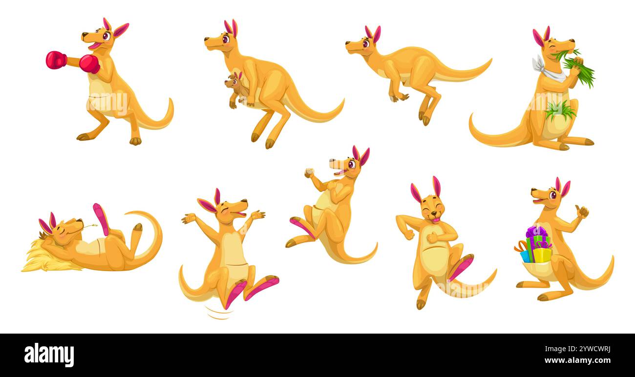 Cartoon funny kangaroo animal characters in different poses and ...