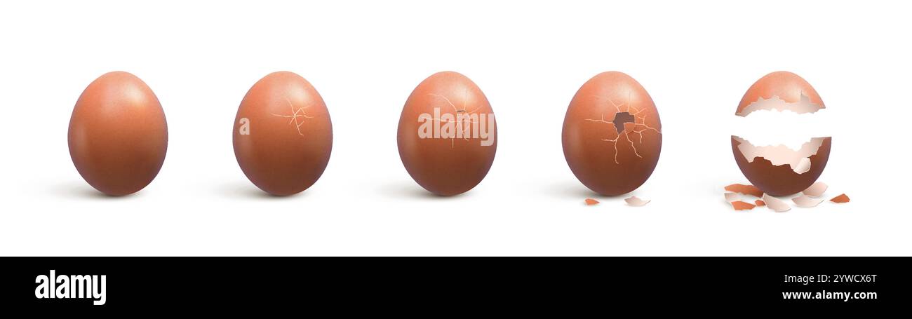 Realistic broken egg with cracks and shell pieces, vector 3d chick hatching sequences, farm bird ...
