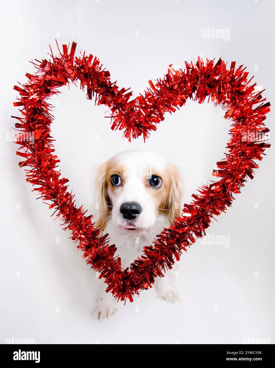 Red heart frame hi-res stock photography and images - Alamy