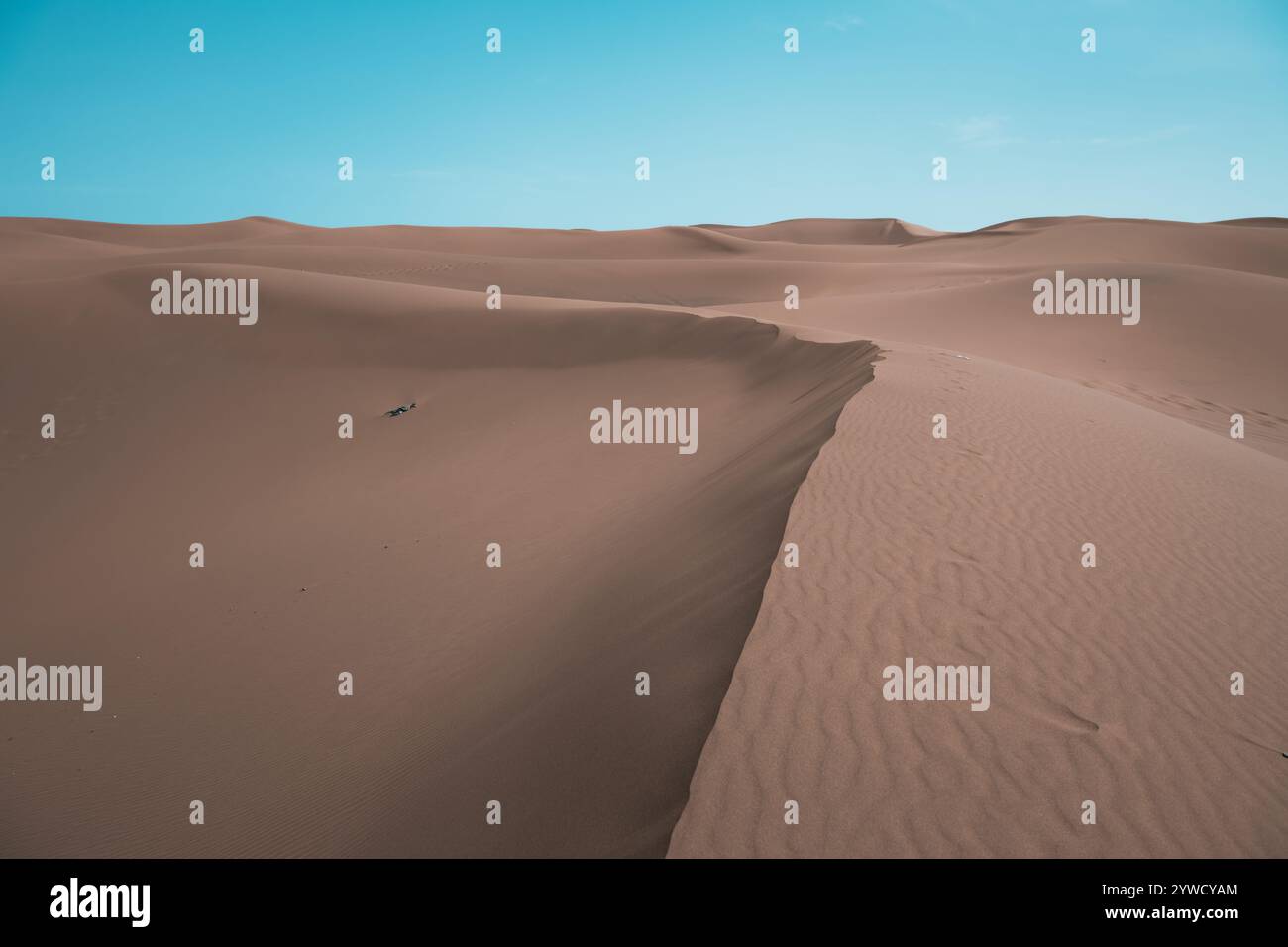 Kumtag Desert in Piqan, China. Kumtag desert is the only desert linking ...