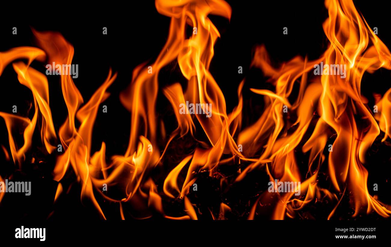 Texture of fire on a black background. Burning red fire. Large bonfire ...